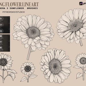 Procreate Flower Brushes, Floral Stamps, Botanical Line Art Tattoo ...