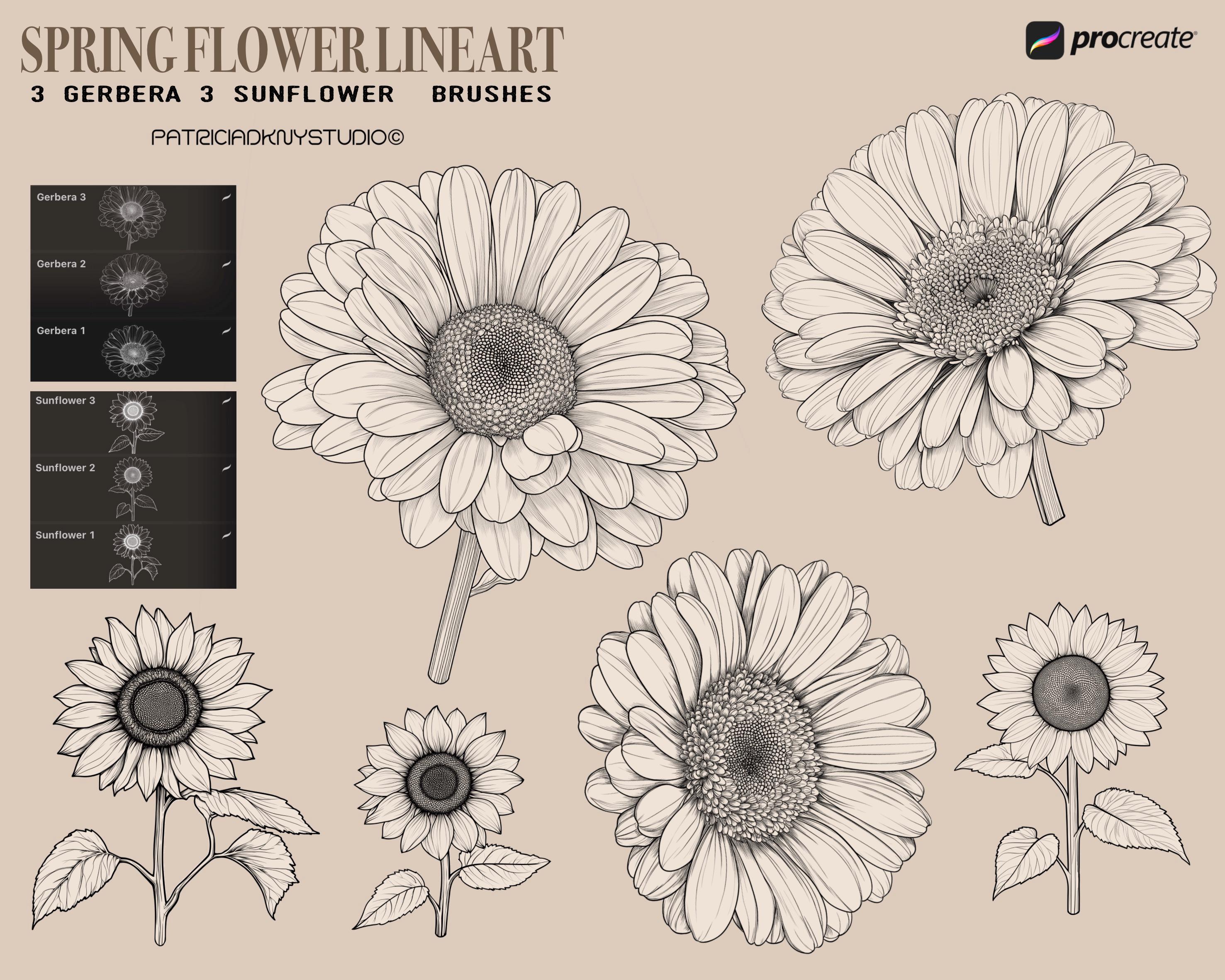 Procreate Flower Brushes, Floral Stamps, Botanical Line Art Tattoo ...