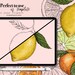 Citrus Vector Illustrations Citrus Fruit SVG Graphics Lemon - Etsy