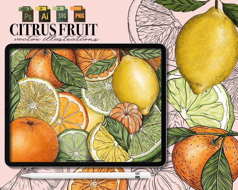 Citrus Vector Illustrations Citrus Fruit SVG Graphics Lemon - Etsy