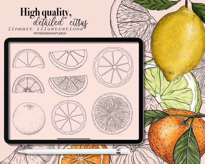Citrus Vector Illustrations Citrus Fruit SVG Graphics Lemon - Etsy