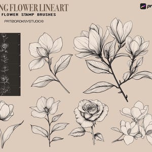 Procreate Flower Brushes, Floral Stamps, Botanical Line Art Tattoo ...