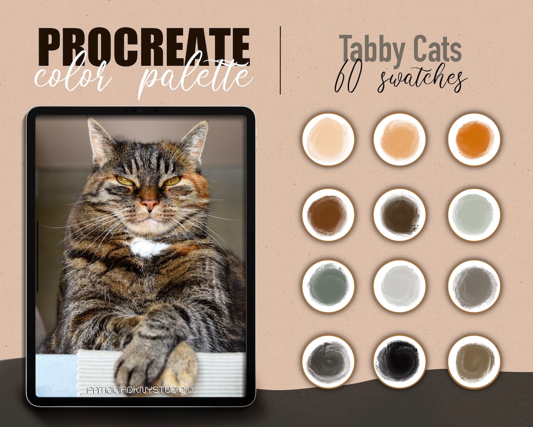 Procreate Color Palette - Tabby Cat Color Swatches - Etsy