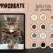 Procreate Color Palette - Tabby Cat Color Swatches - Etsy