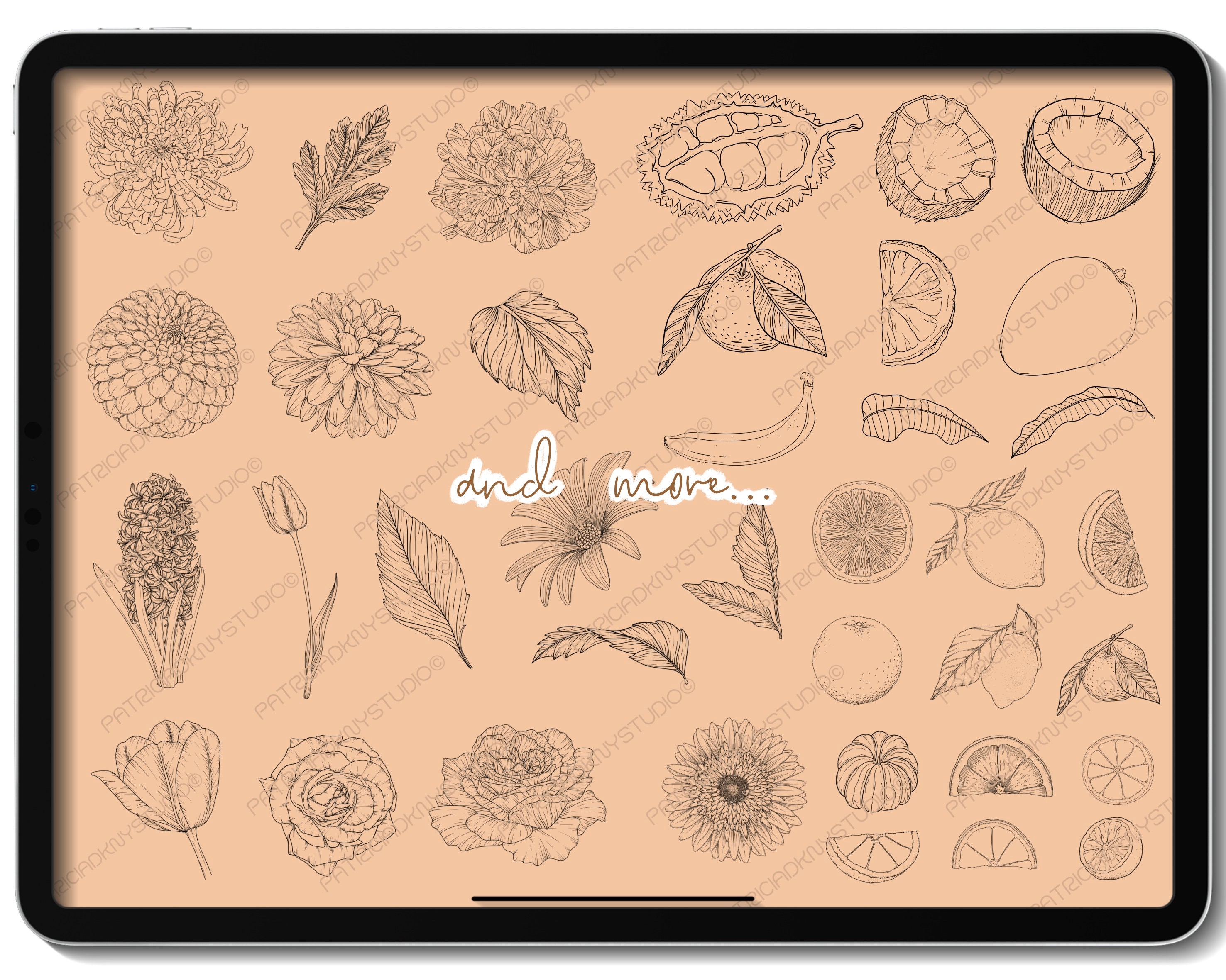 Procreate Stamp Brushes - Flower, Fruit, Vegetables Brushes, High ...