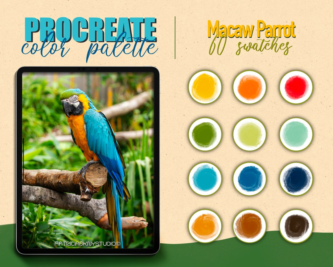 Procreate Color Palette - Parrot Birds Color Swatches - Etsy