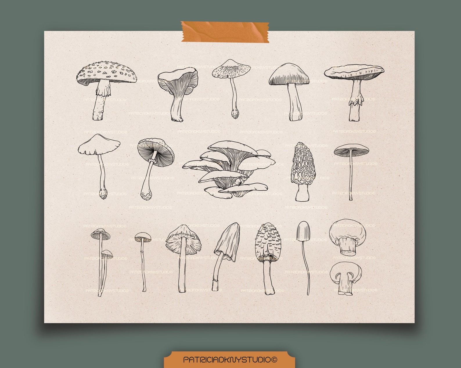 Procreate Mushroom Brushes Fungi Doodles Procreate Ipad - Etsy