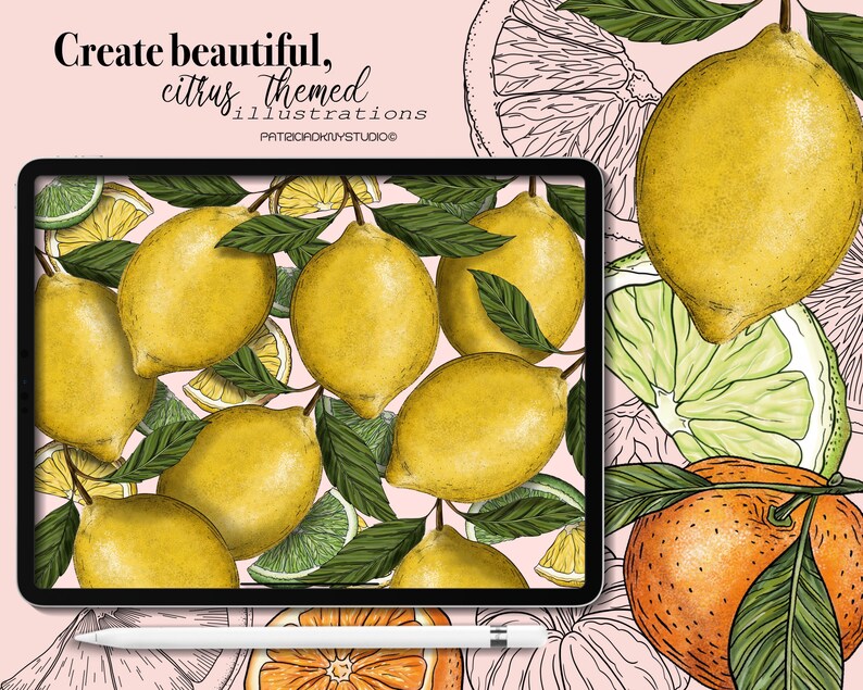 Citrus Vector Illustrations Citrus Fruit SVG Graphics Lemon - Etsy
