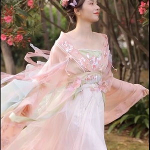 Pink Women Hanfu, Flowers Hanfu Dress, Handmade Hanfu Dress, Modern ...