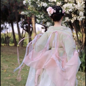 Pink Women Hanfu, Flowers Hanfu Dress, Handmade Hanfu Dress, Modern ...
