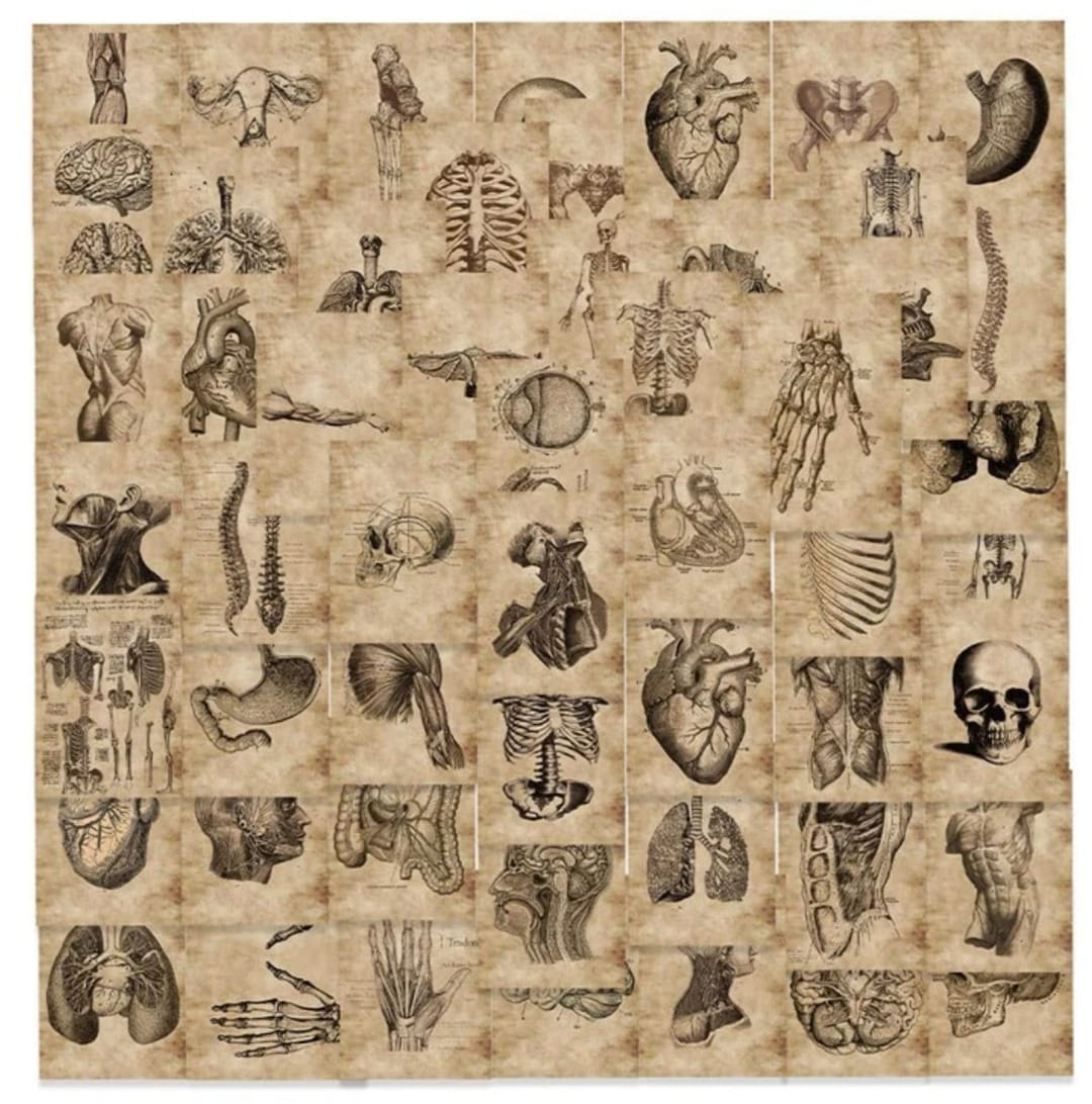 Body Parts Stickers_goth - Etsy