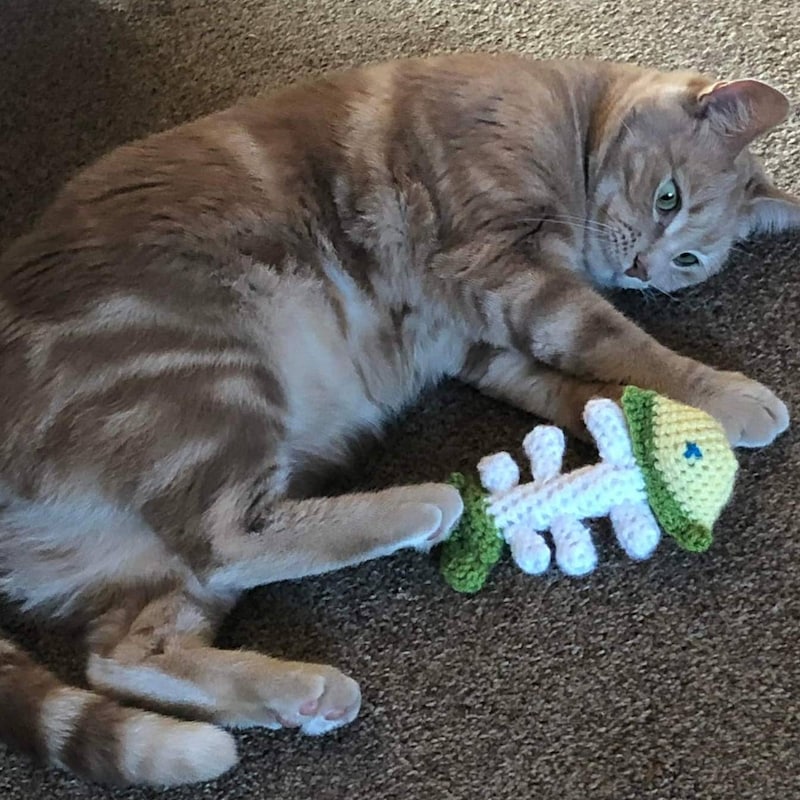 Floating Cat Toys - Etsy UK