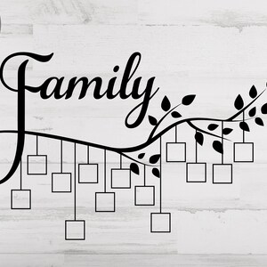 Family Tree Branch Square Frame Svg/png/dxf File, Family Tree 13 ...