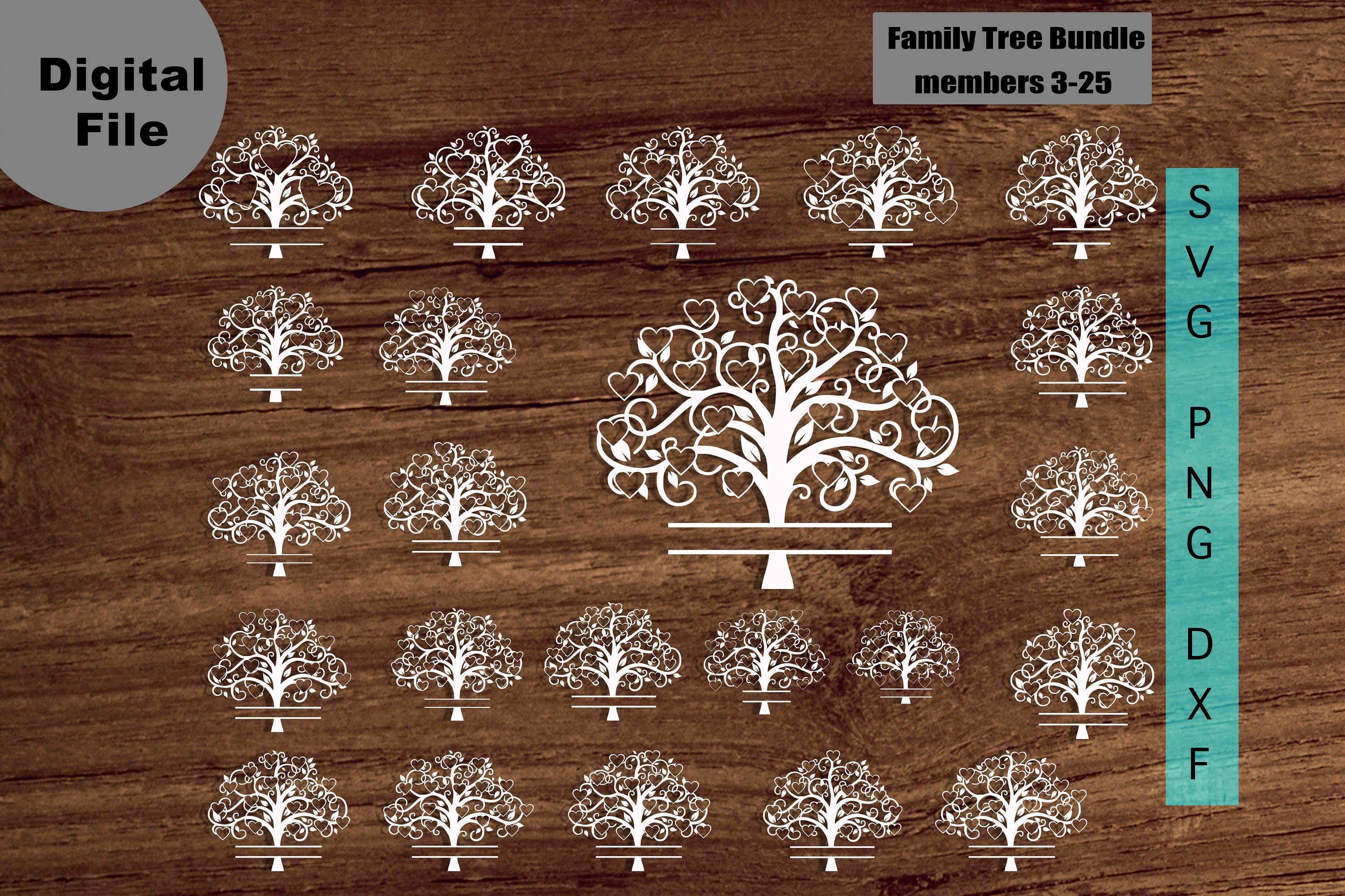 Split Family Tree 3-25 miembros Svg bundle Family Heart Tree | Etsy