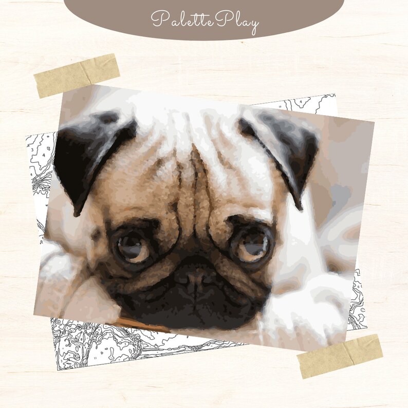 Cut Pug Paint by Number Kit Adult Printable & Digital Download Art ...
