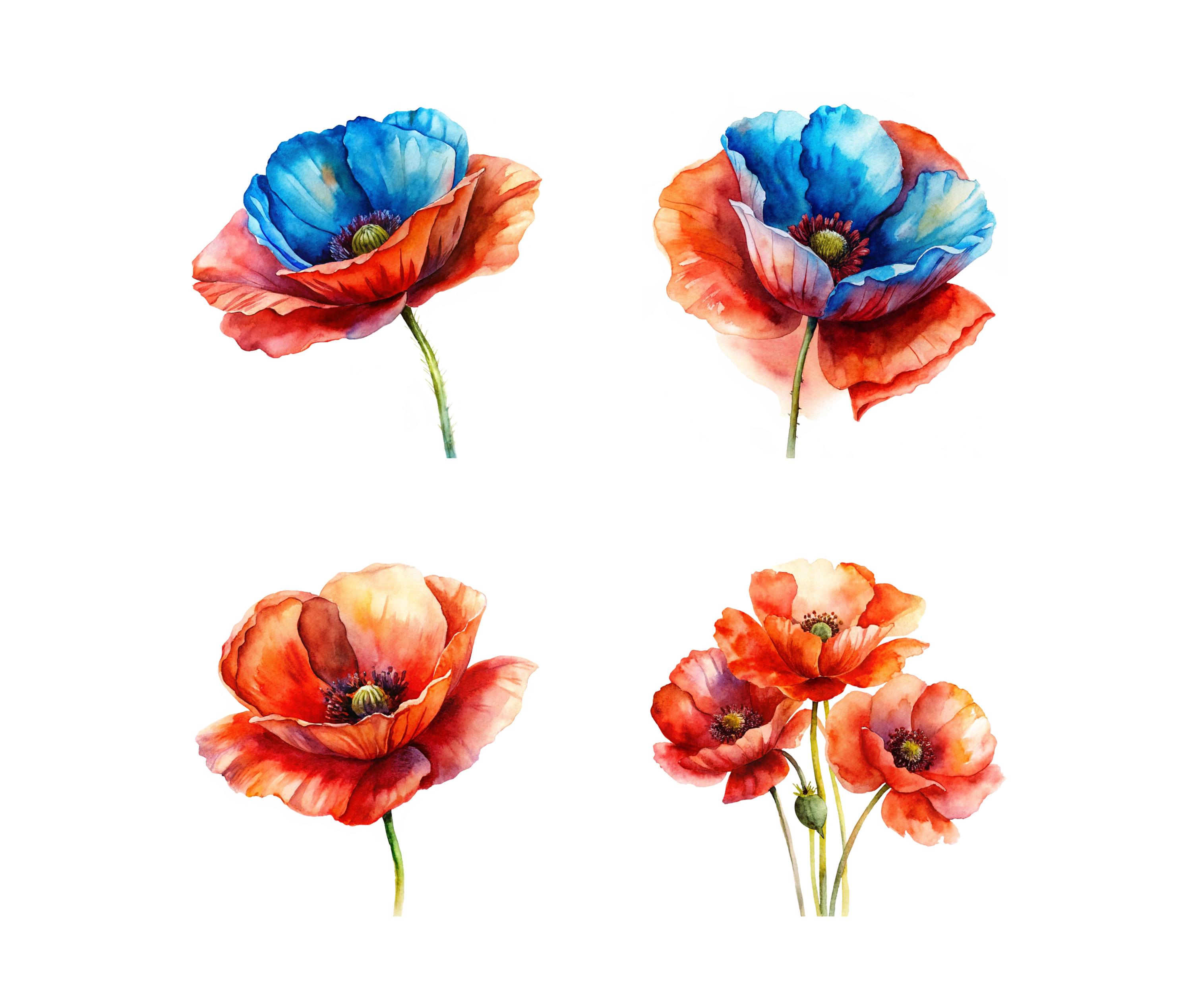 20 Poppy Flower Clipart, Watercolor Clipart, PNG Poppy Flower, Floral ...