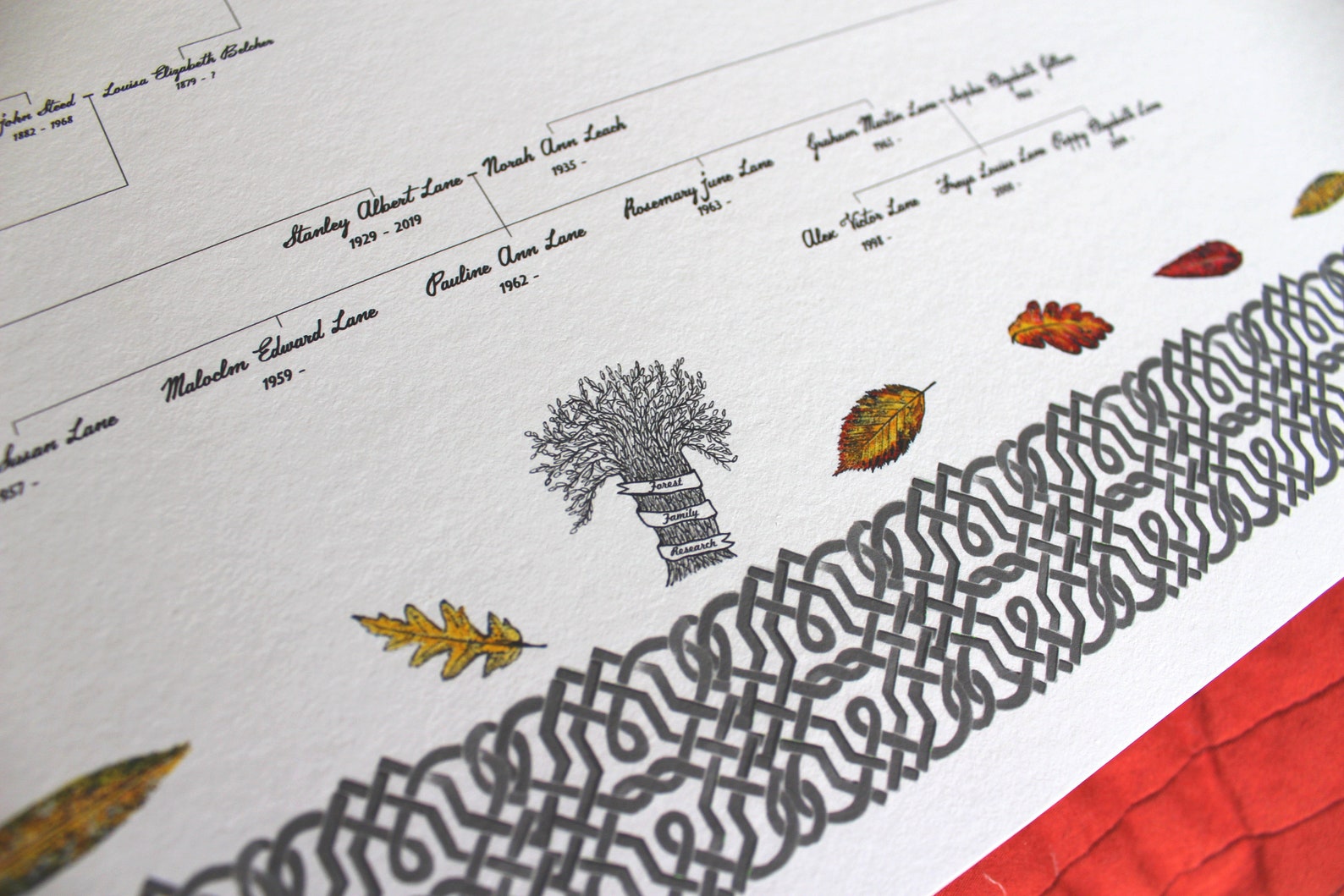 Extensive Family Research A2 Family Tree Scroll - Etsy