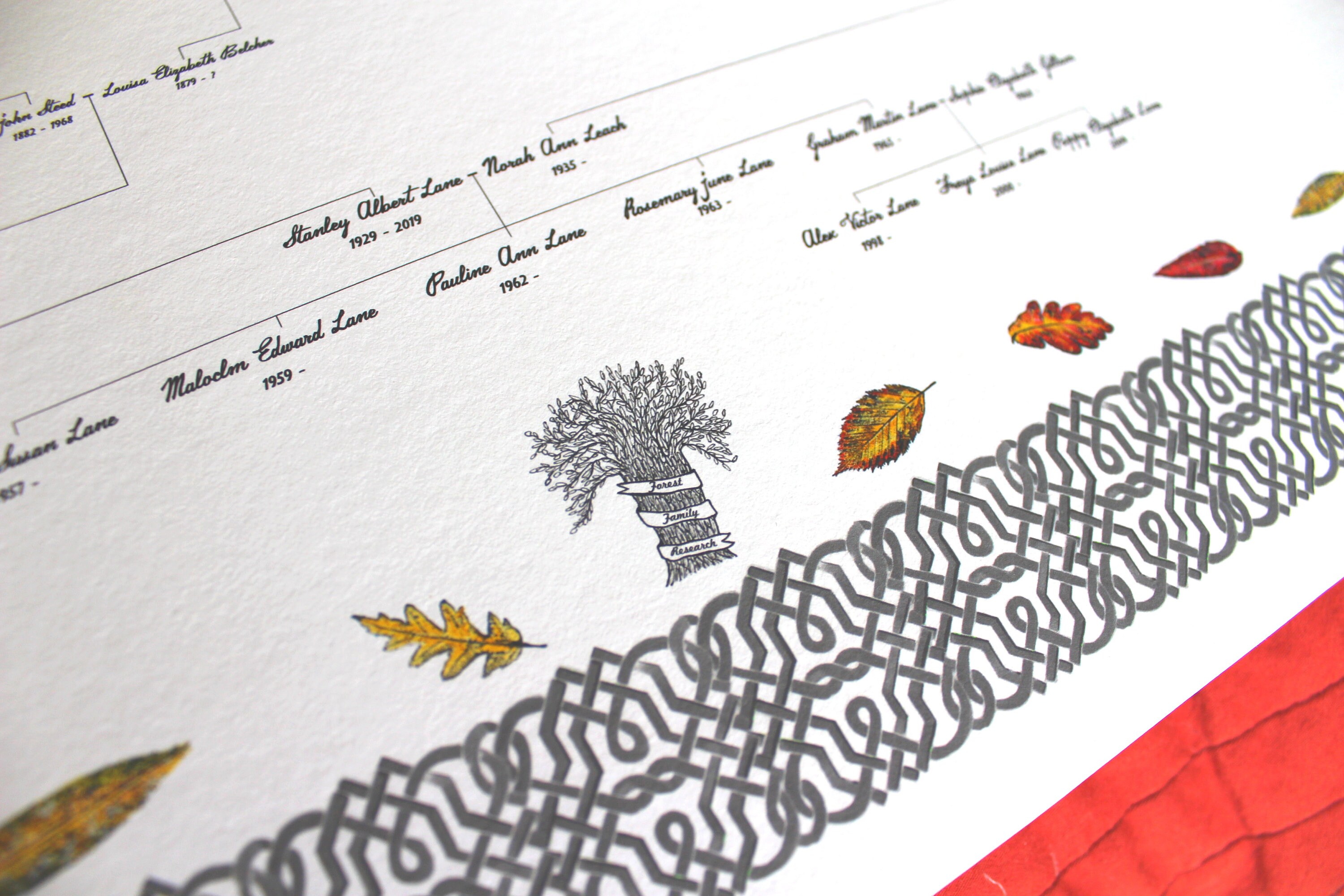 Advanced Family Research A3 Family Tree Scroll - Etsy UK