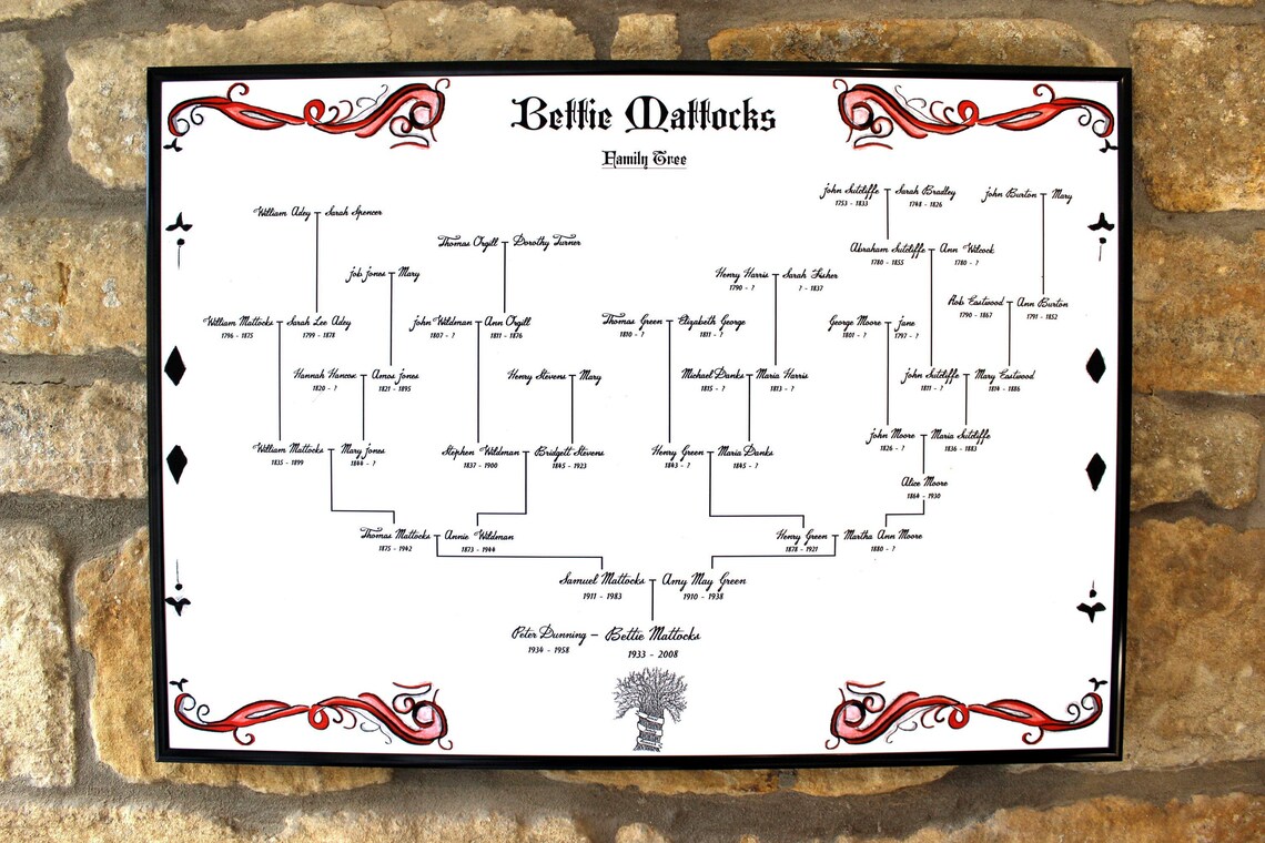 Extensive Family Research A2 Family Tree Scroll | Etsy