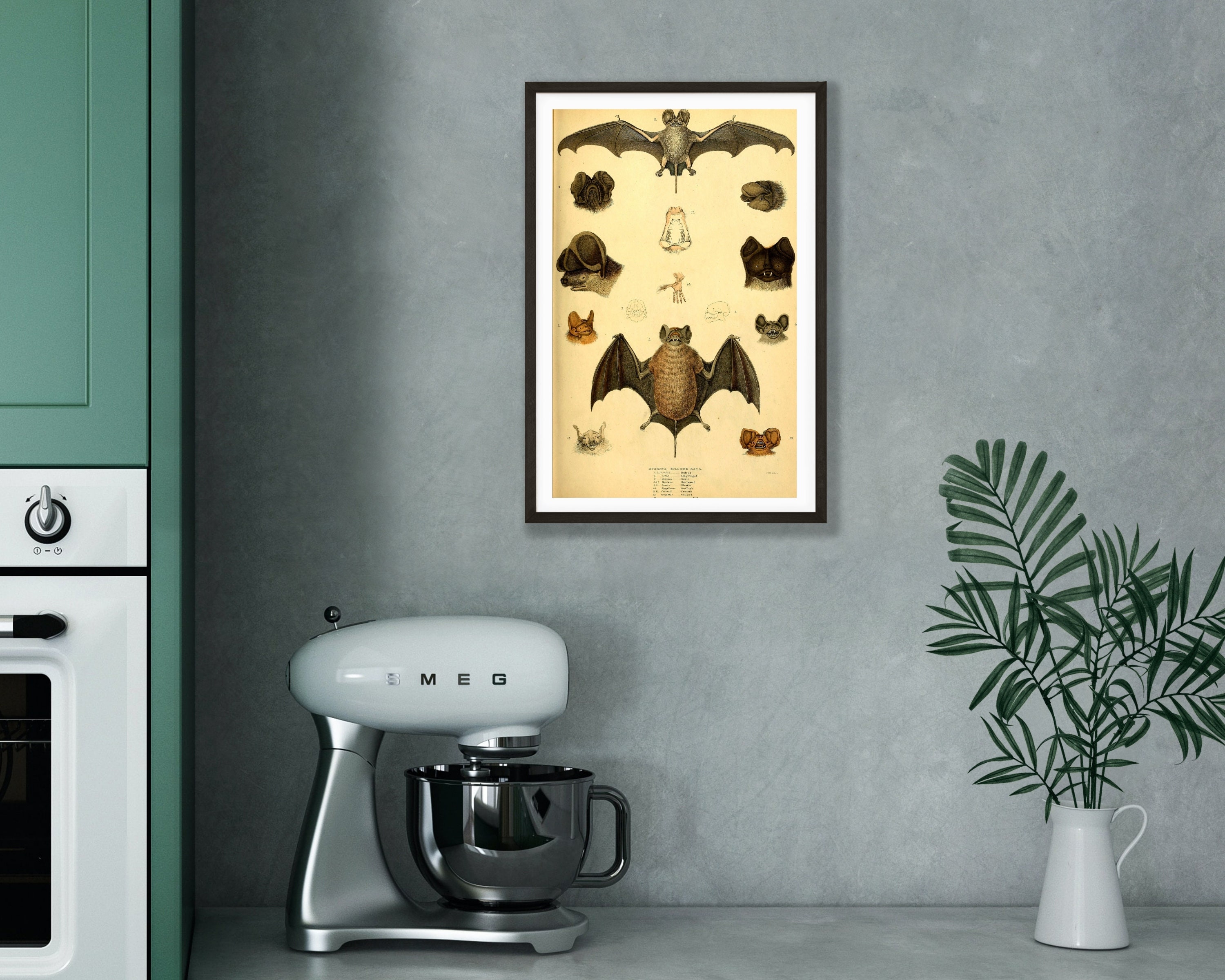 Bat Illustration 1939. Wall Decor Vintage Poster 18 - Etsy