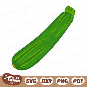 Zucchini, Green Courgette, Healthy Garden Vegetable Food, Nutrition ...