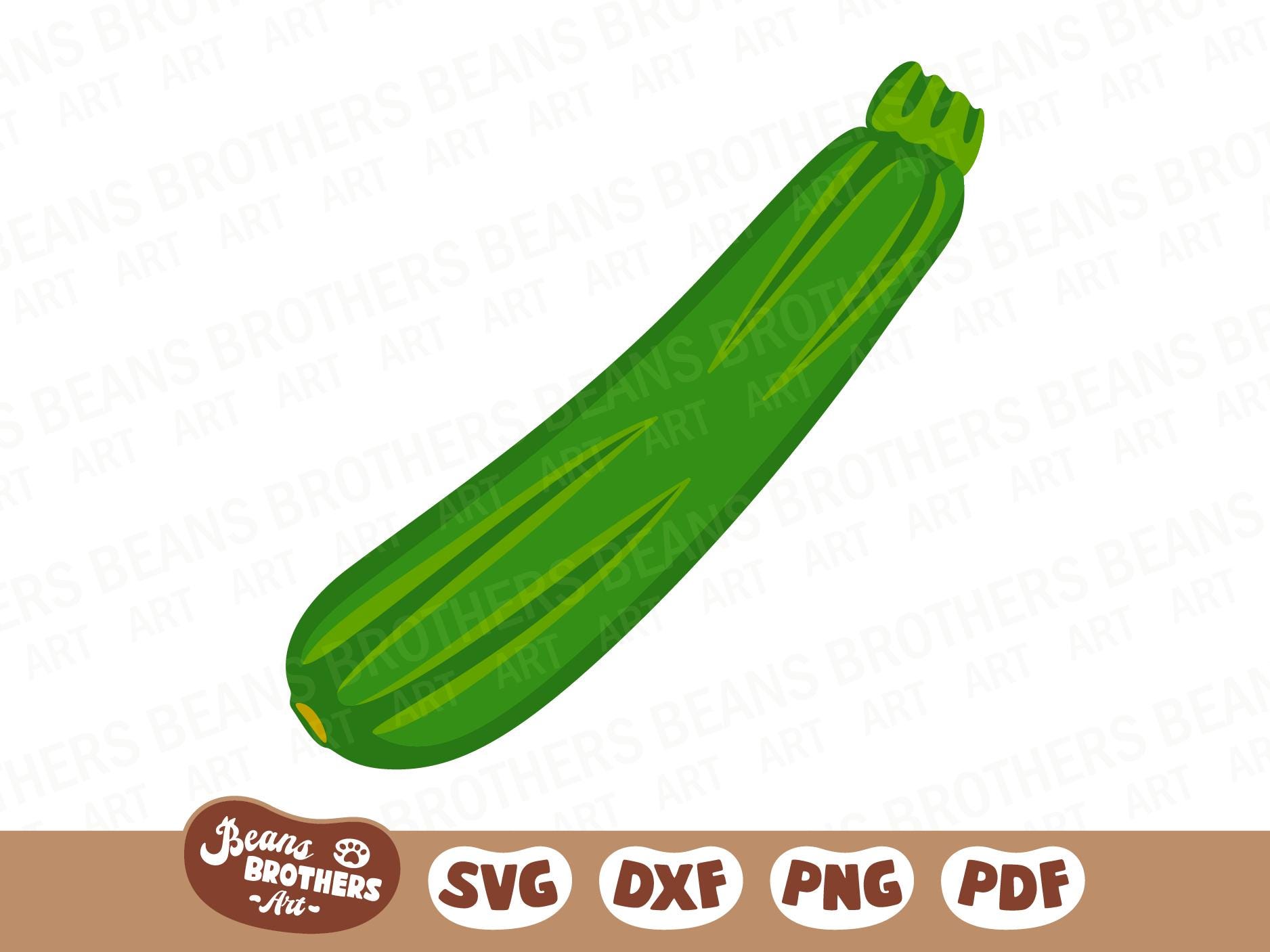 Zucchini, Green Courgette, Healthy Garden Vegetable Food, Nutrition ...