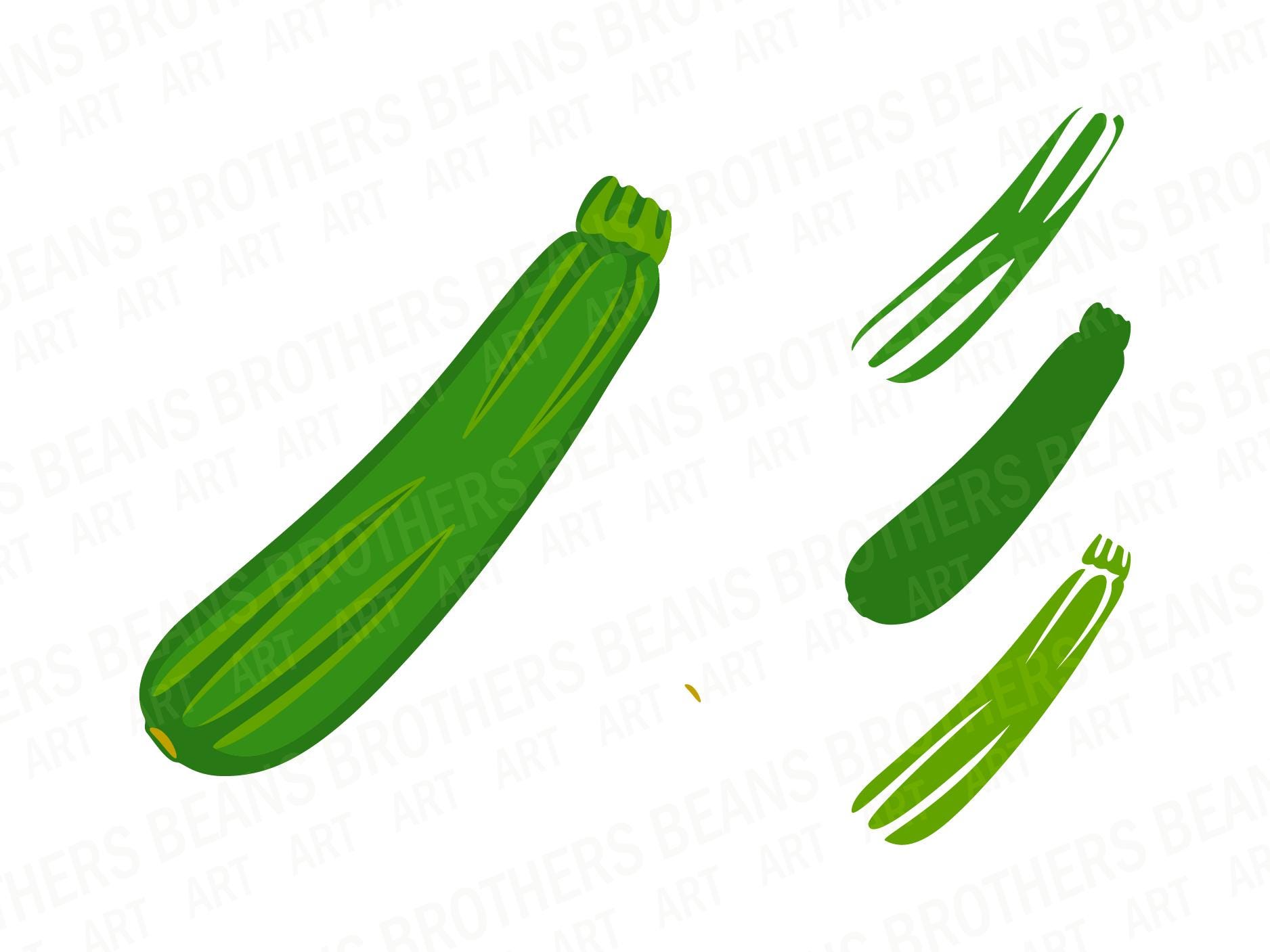 Zucchini, Green Courgette, Healthy Garden Vegetable Food, Nutrition ...