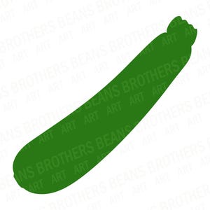 Zucchini, Green Courgette, Healthy Garden Vegetable Food, Nutrition ...