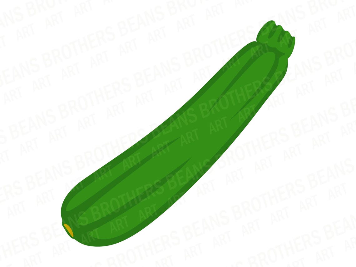 Zucchini, Green Courgette, Healthy Garden Vegetable Food, Nutrition ...