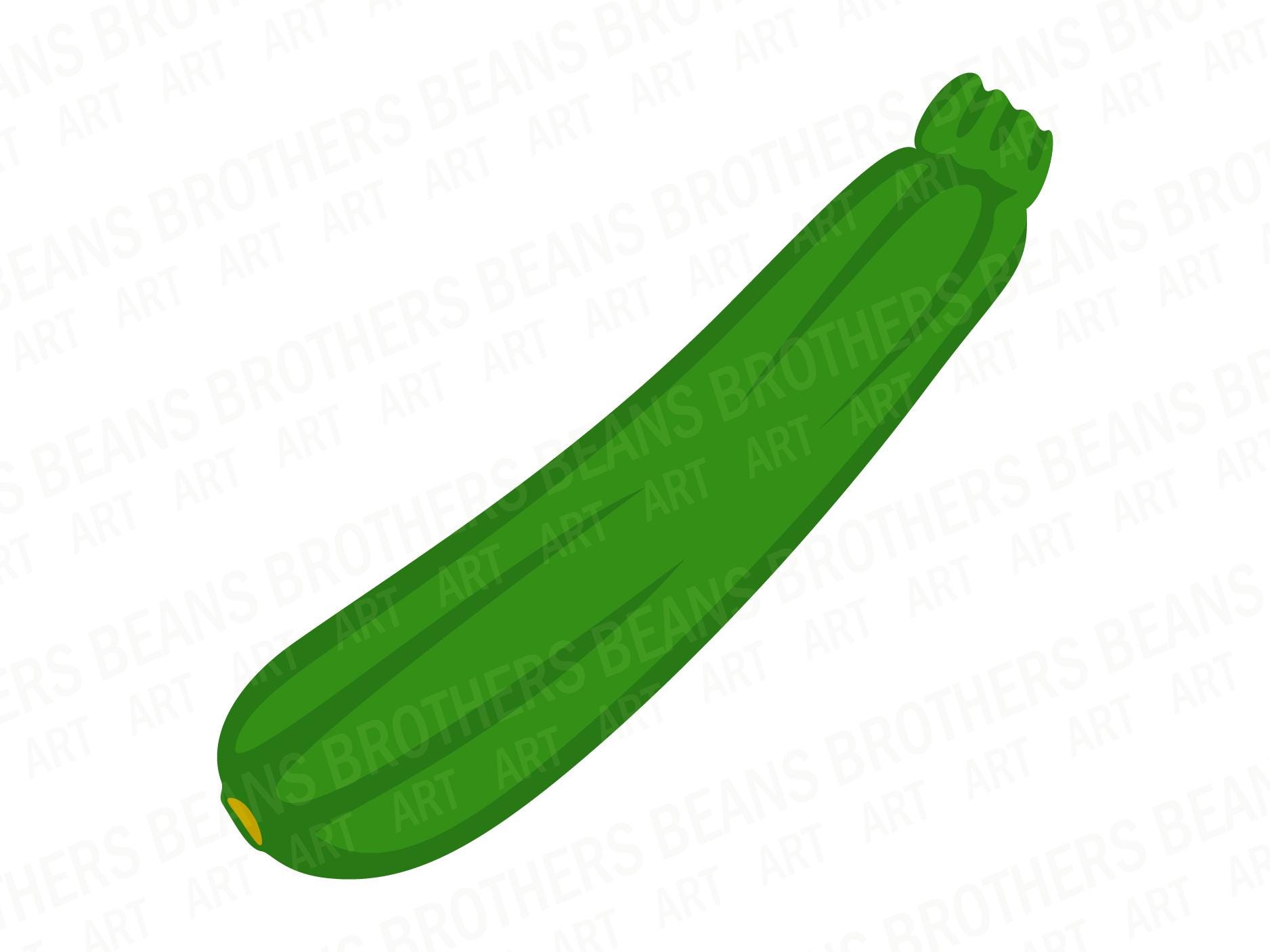 Zucchini, Green Courgette, Healthy Garden Vegetable Food, Nutrition ...