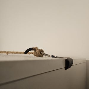 Tethermount | Non-invasive Wardrobe Bike Mount | Space-saving Tethered ...