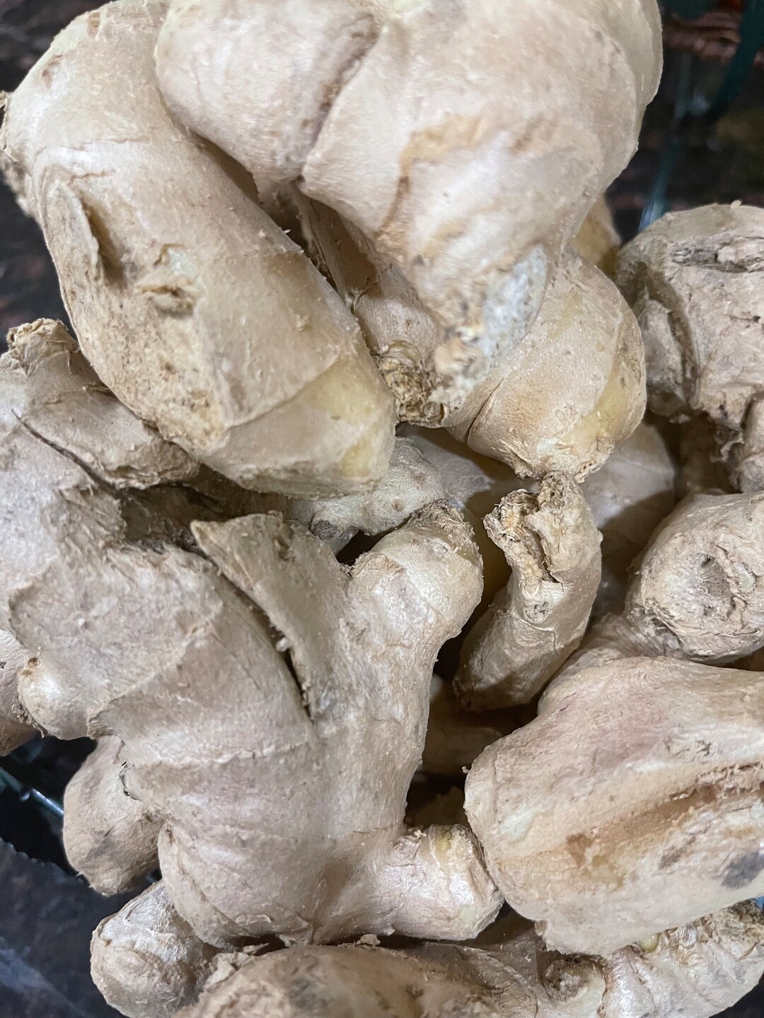 Ginger Root Fresh 1 Lb for Consumption or Planting - Etsy