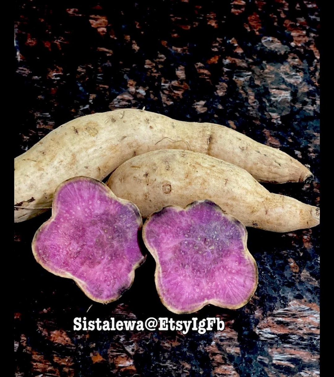 Okinawa Purple Sweet Potatoes: Khoai Lang Tubers~small/large or (1-3 ...
