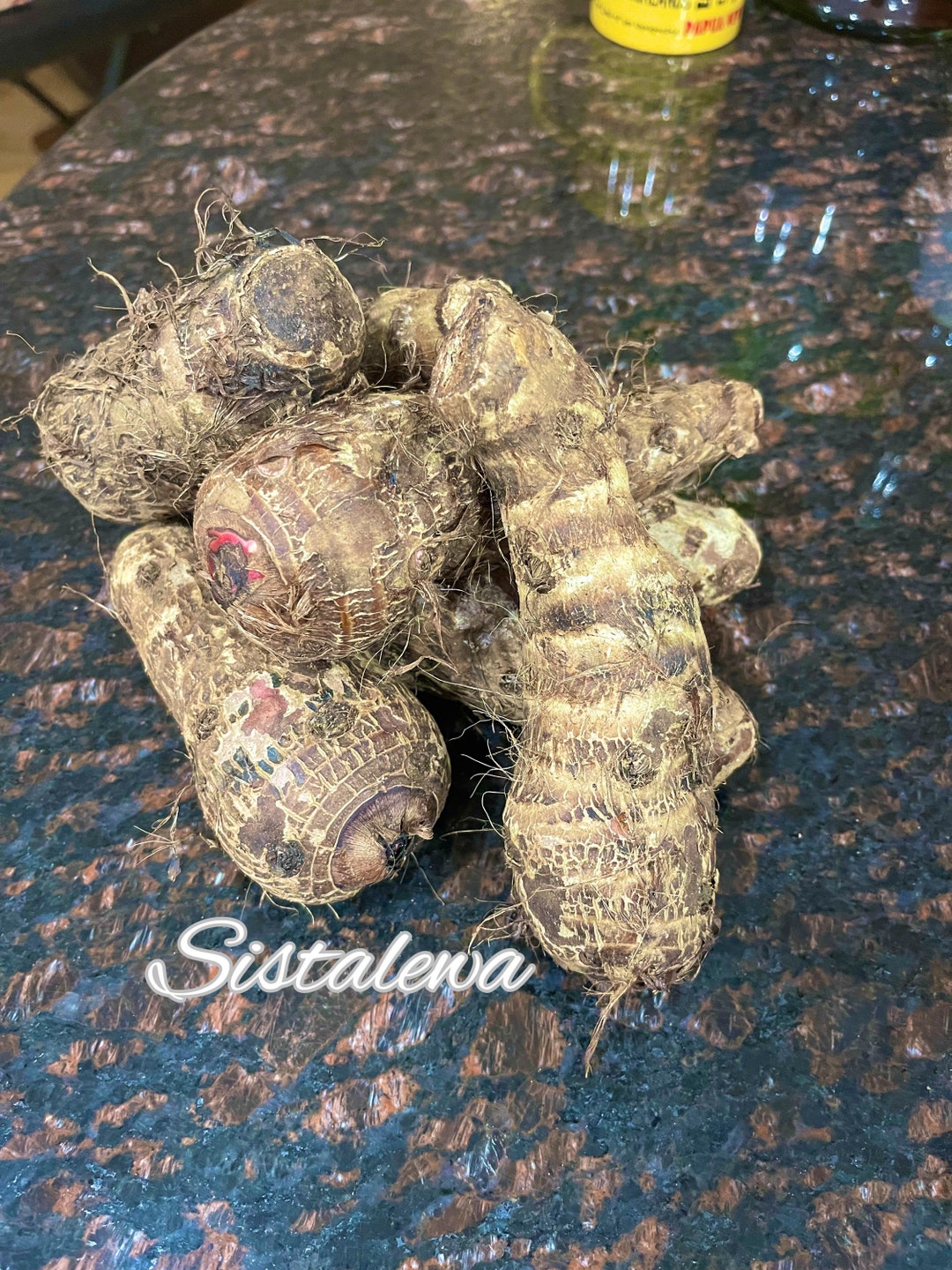 Edible Taro Tubers~malanga Coco~(1) Tuber or (1) LB ~ Small-large ...