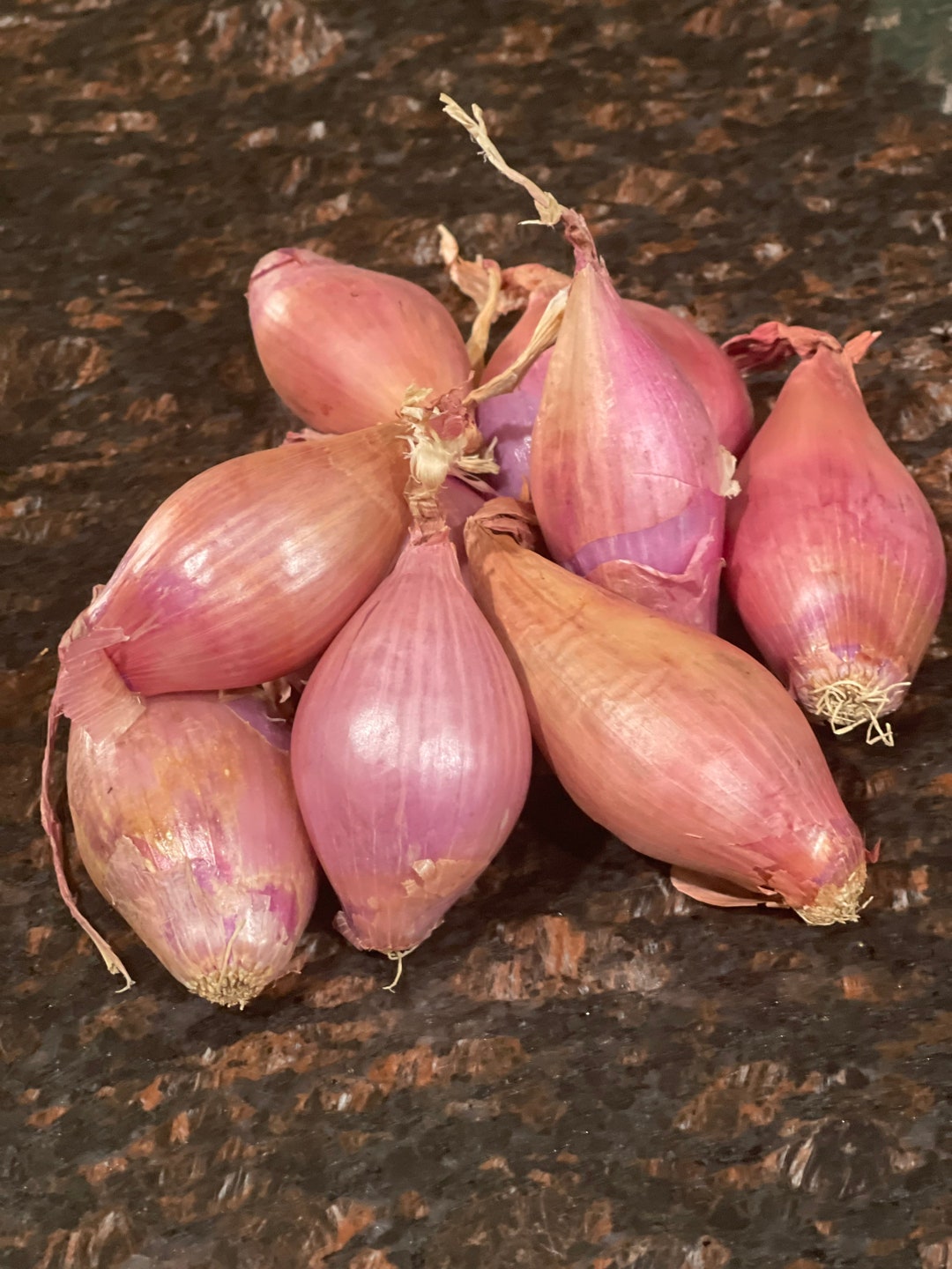Shallots Organic US- Shallots 7/12 Bulbs for Consumption or Planting - Etsy