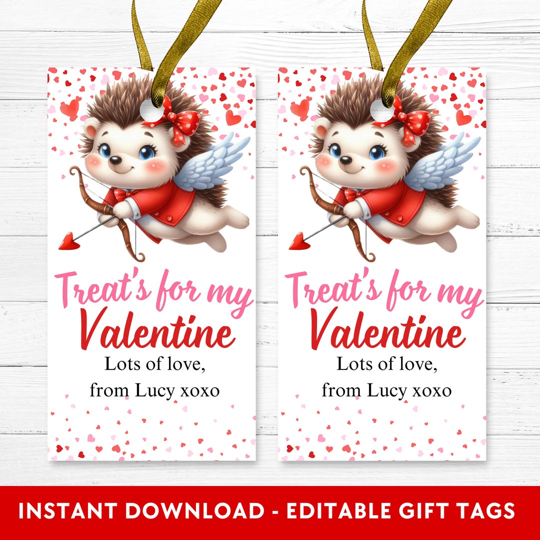 Editable Hedgehog Valentines Gift Tag, Printable Valentines Gift Tags ...