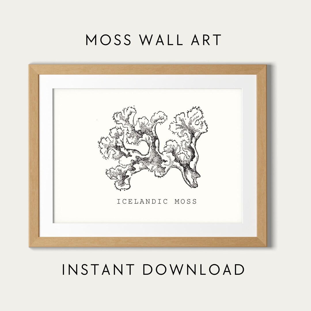 Icelandic Moss Wall Art Printable Moss Art Wall Decor Moss - Etsy