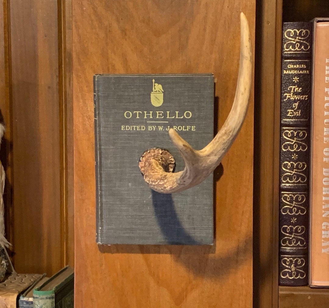 Unique Wall Art Antique Book and Deer Antler Hat Rack - Etsy