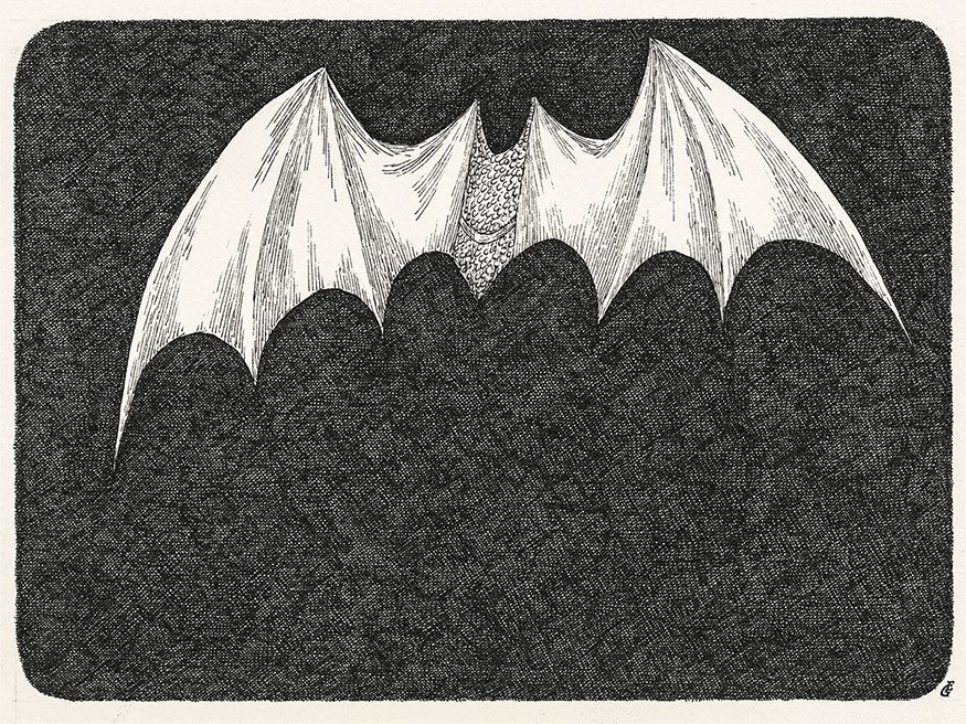 Edward Gorey the Gilded Bat (1979) - Illustrated Vintage Book - Etsy