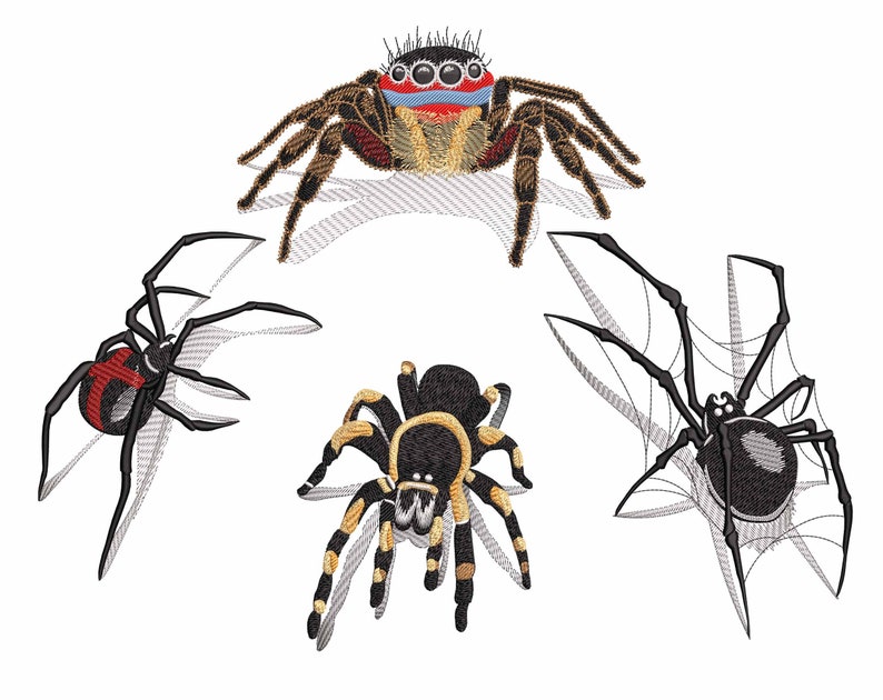 Four Spiders Embroidery Designs Bundle Creepy Crawly Spider - Etsy