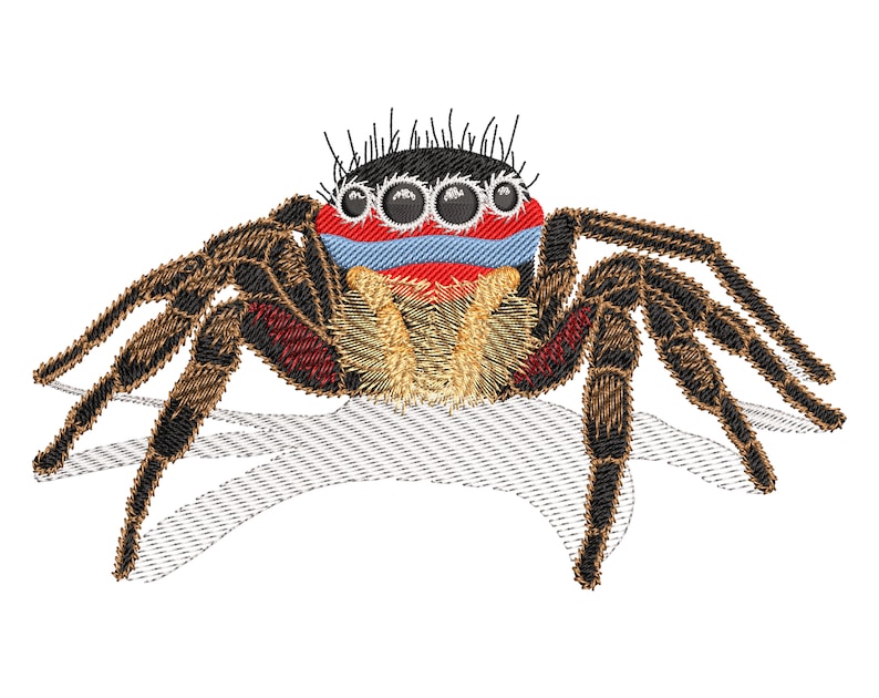 Four Spiders Embroidery Designs Bundle Creepy Crawly Spider - Etsy