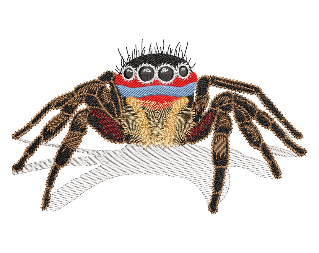 Jumping Spider 3D Embroidery Design, Realistic Cute Insect With Pretty ...