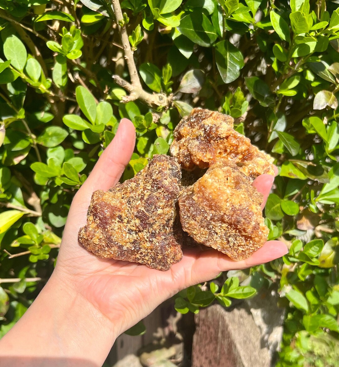Opopanax Sweet Myrrh Gum Resin Incense, A Grade, Opopanax Chironium ...