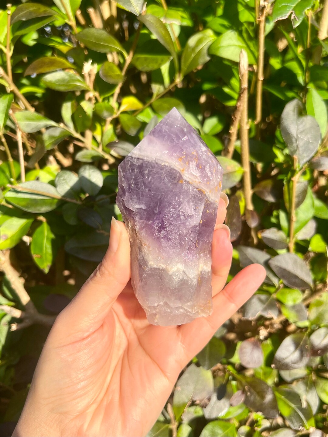 110mm/ 205grams Amethyst Dragon Tooth, Giant Amethyst Root, Amethyst ...