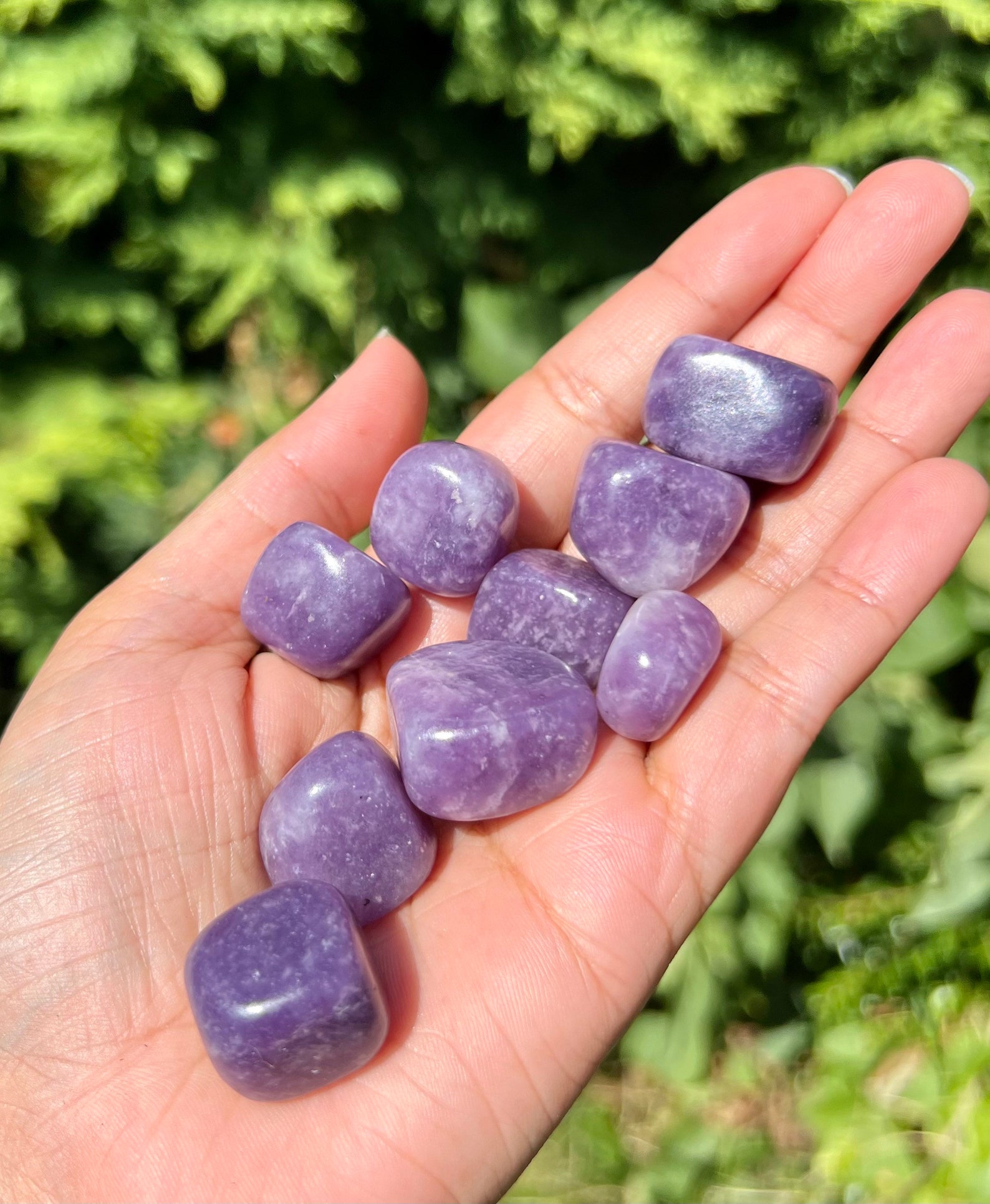 Lepidolite Tumble Rocks, Lepidolite Quartz Pocket Stone, Crystal Tumble ...