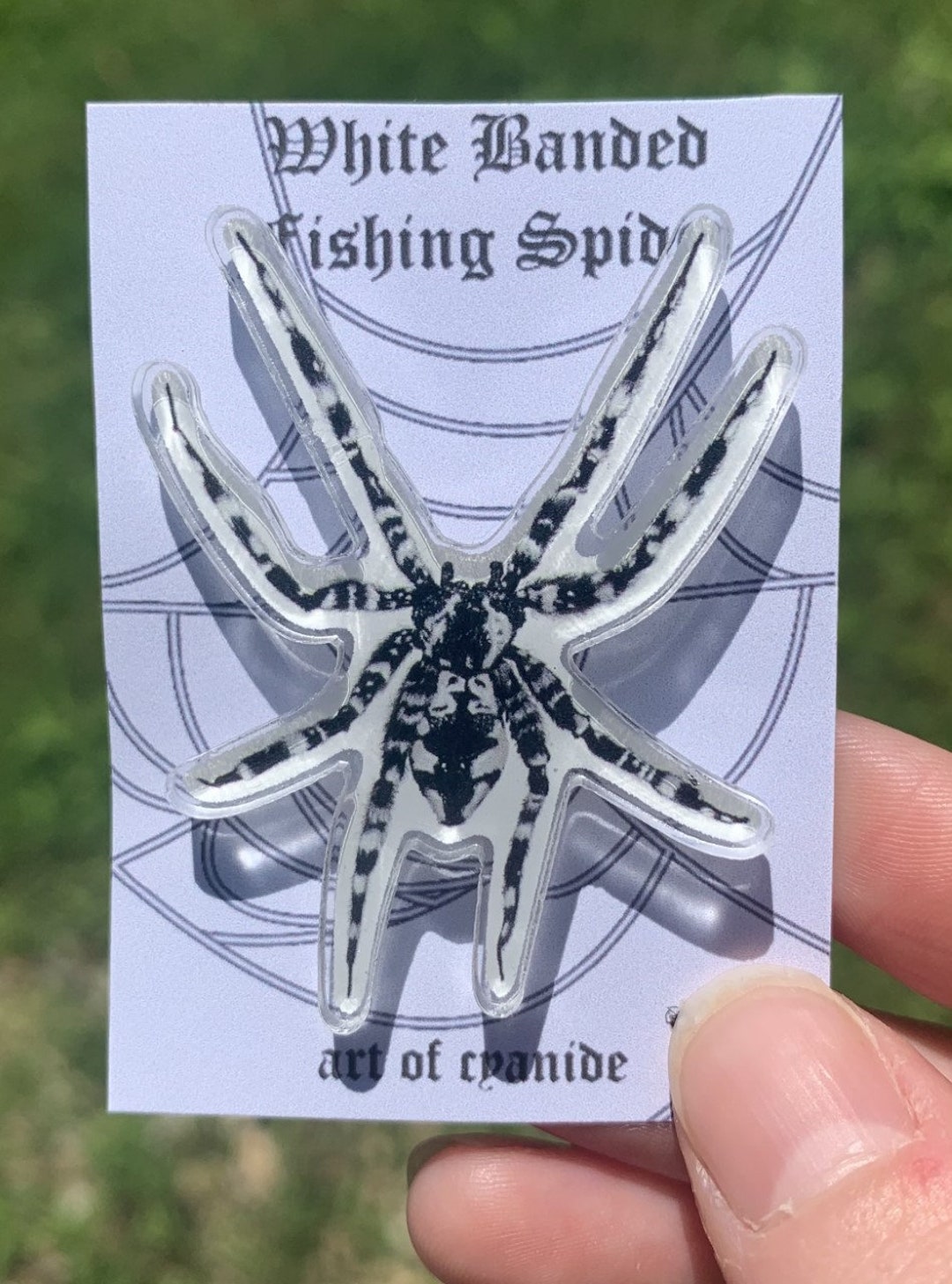 White Banded Fishing Spider Pin ~ Hard Enamel Pin - Etsy