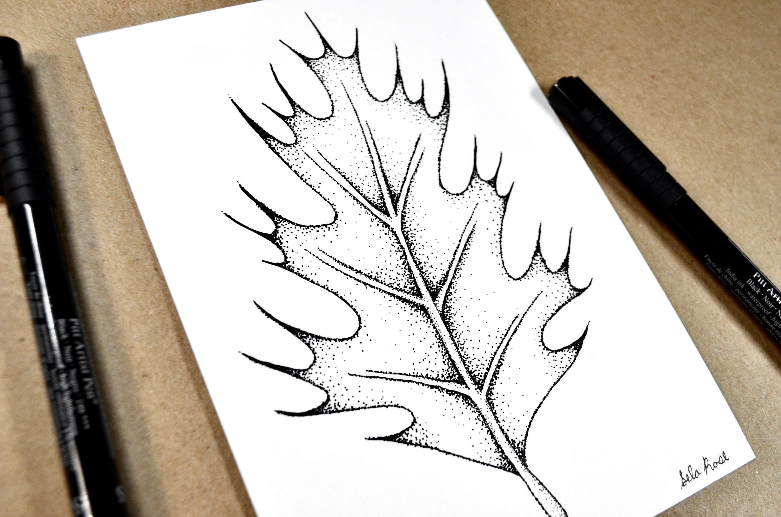 Ink Drawings Of Leaves
