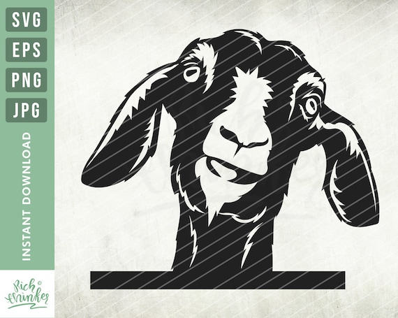 Boer Geit Hoofd Vector