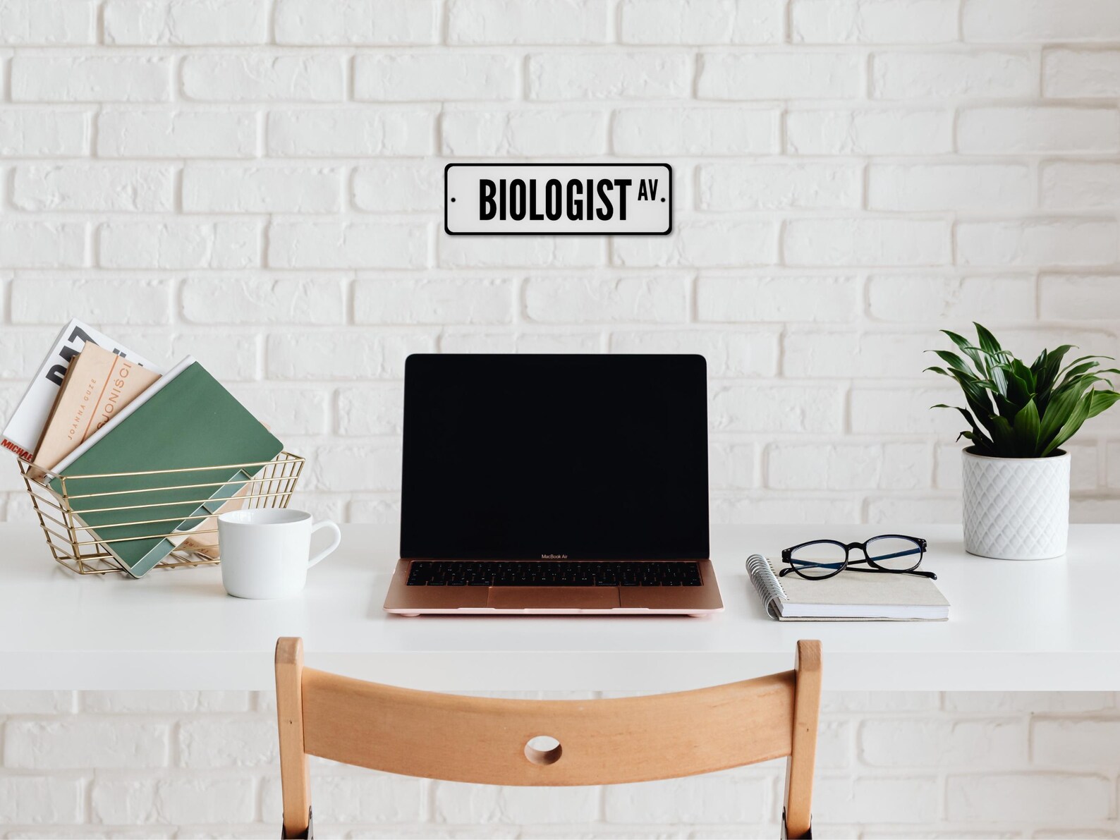 Biologist Street Sign, Biology Classroom, Decor, Display, High School ...