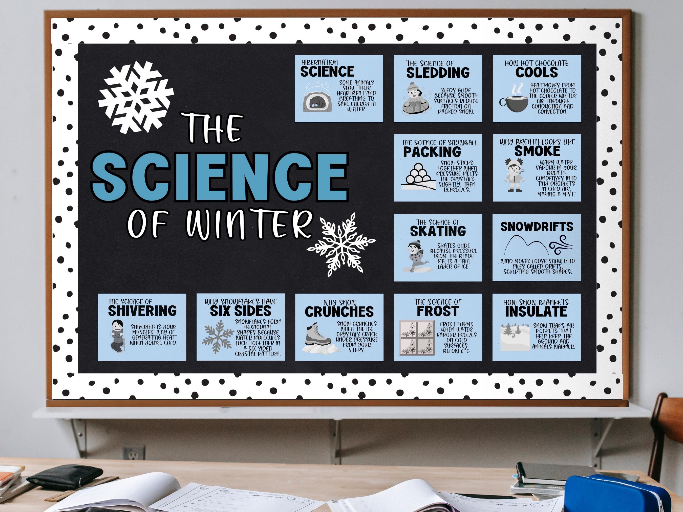 The Science of Winter Bulletin Board Posters | Winter Science ...